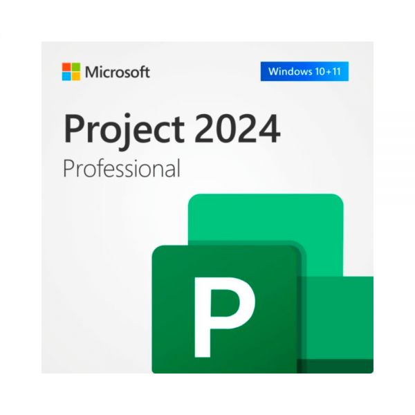 MS PROJECT PRO 2024 EP2-07001 ESD